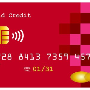 Credit Card Template / Credit Card Svg / Fillable Credit Card / Credit ...