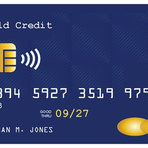 Credit Card Template / Credit Card Svg / Fillable Credit Card / Credit ...