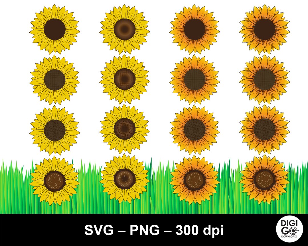 Sunflower Svg / Flower Svg / Sunflower Clipart / Sunflower Png - Etsy