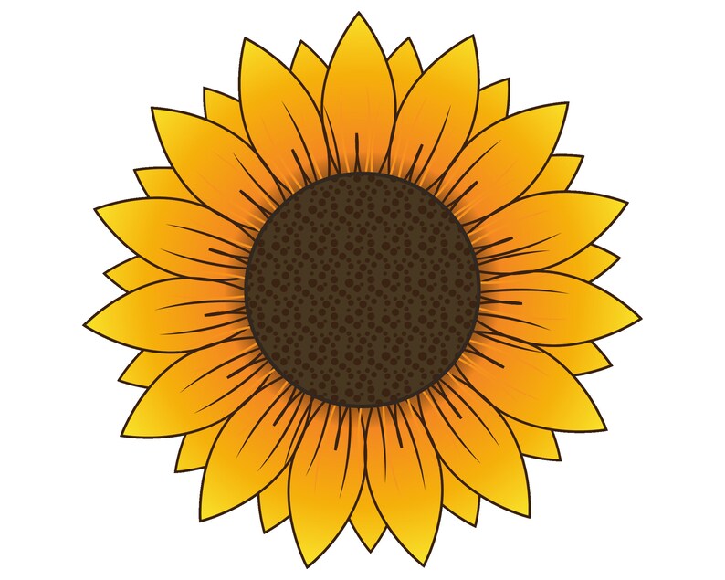 Sunflower Svg / Flower Svg / Sunflower Clipart / Sunflower Png - Etsy