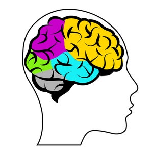 Growth Mindset Clipart / Brain Clipart / Growth Mindset Images | Etsy