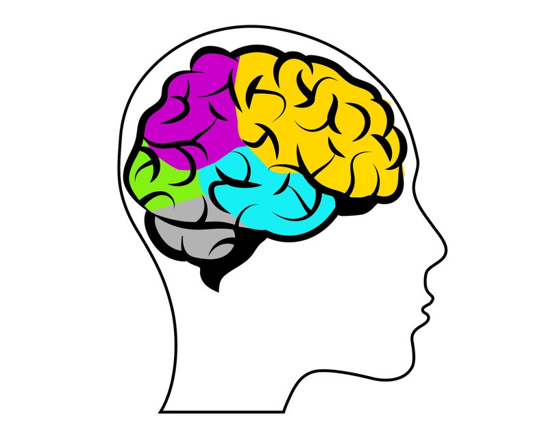 Growth Mindset Clipart / Brain Clipart / Growth Mindset Images | Etsy