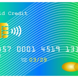 Credit Card Template / Credit Card Svg / Fillable Credit Card / Credit ...