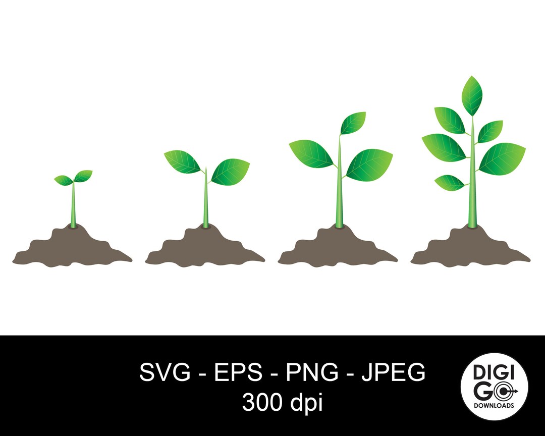Growing Plant Svg / Growing Plant Process / Growing Plant Sequence - Etsy