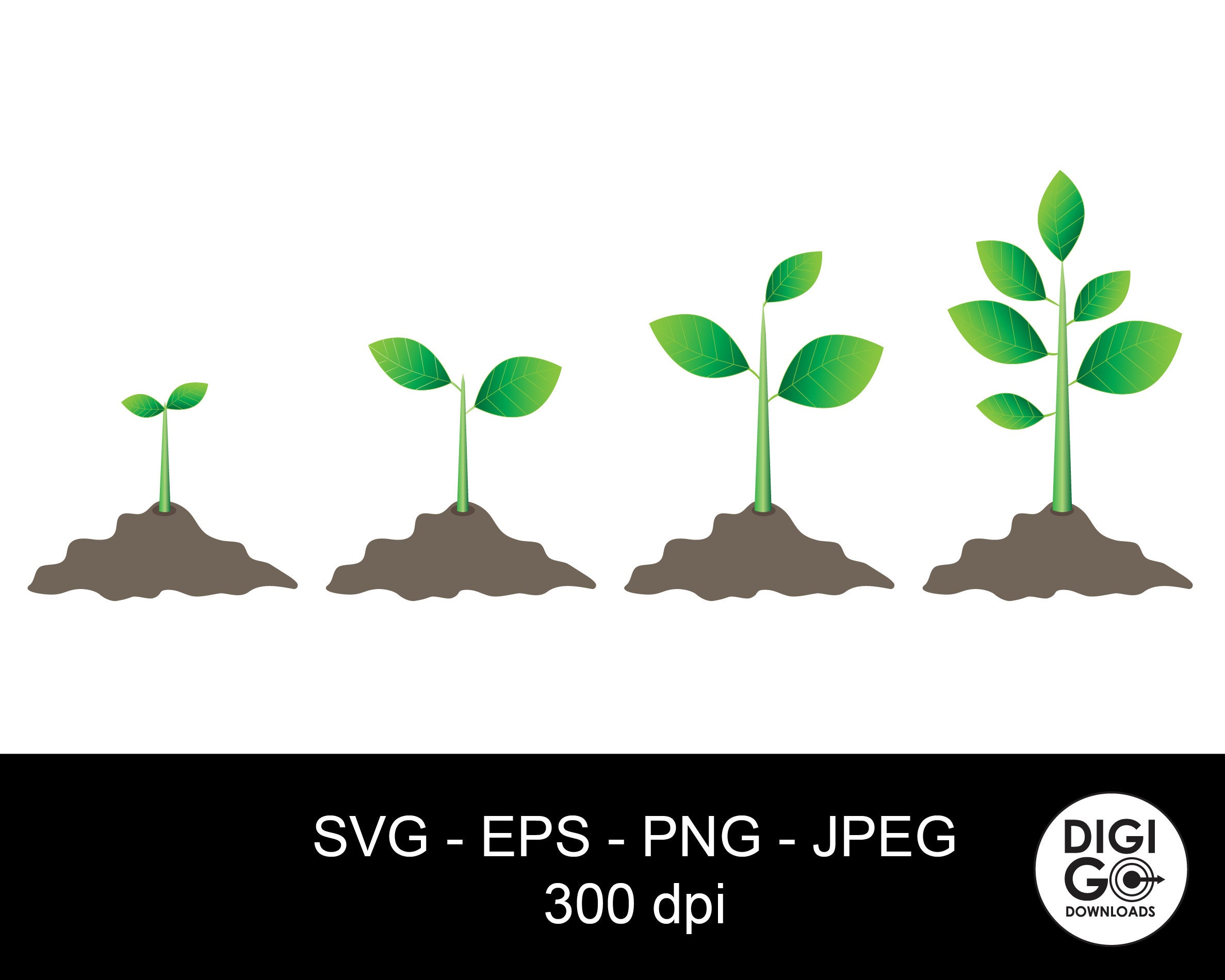 Growing Plant Svg / Growing Plant Process / Growing Plant Sequence - Etsy