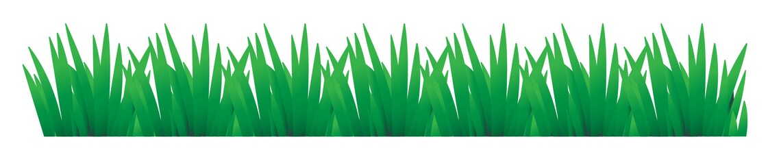Grass Svg / Grass Clipart / Grass Png / Green Grass Clipart / - Etsy Canada