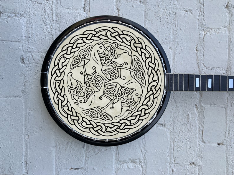 Banjo Instrument Player 11