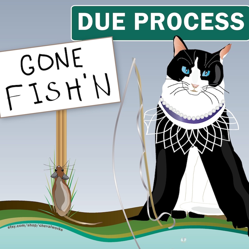 Due Process Protest Signs - Etsy