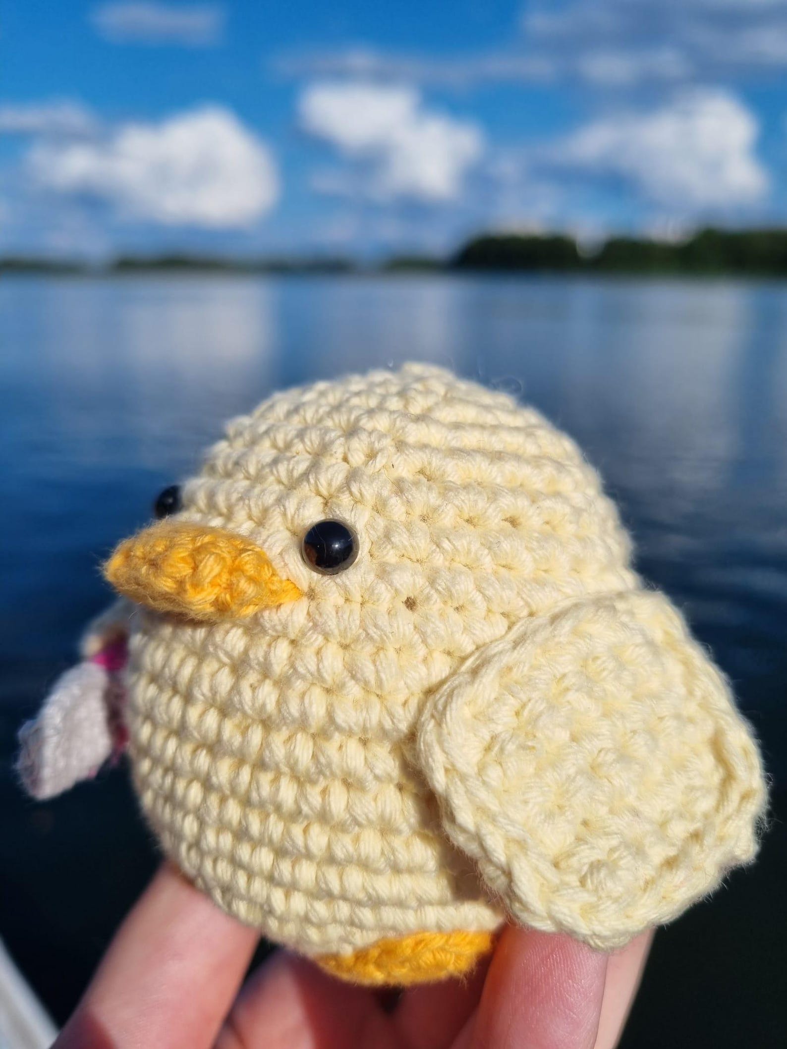 Crochet Chick With Knife, Duck With Knife Plushie, Meme Amigurumi - Etsy