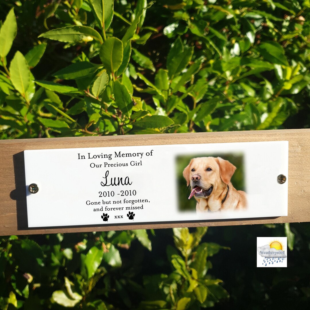 Personalised Family Dog Memorial Bench Photo Plaque Cat Memorial Plaque ...