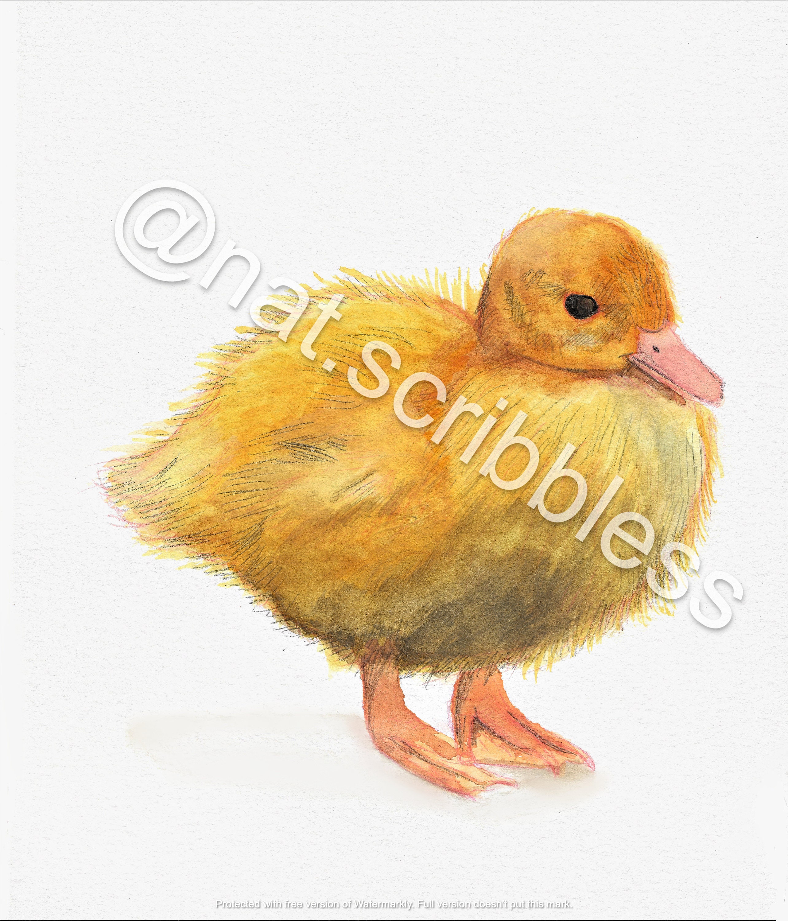 Impresión de ilustración de patito lindo - Etsy España