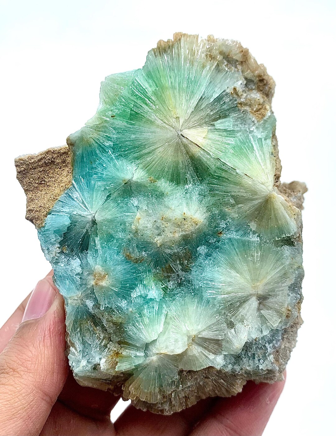 Flower Aragonite Crystal Specimen, Raw Stone, Afghanistan (279 Grams ...