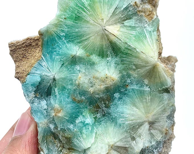 Flower Aragonite Crystal Specimen, Raw Stone, Afghanistan (279 Grams ...