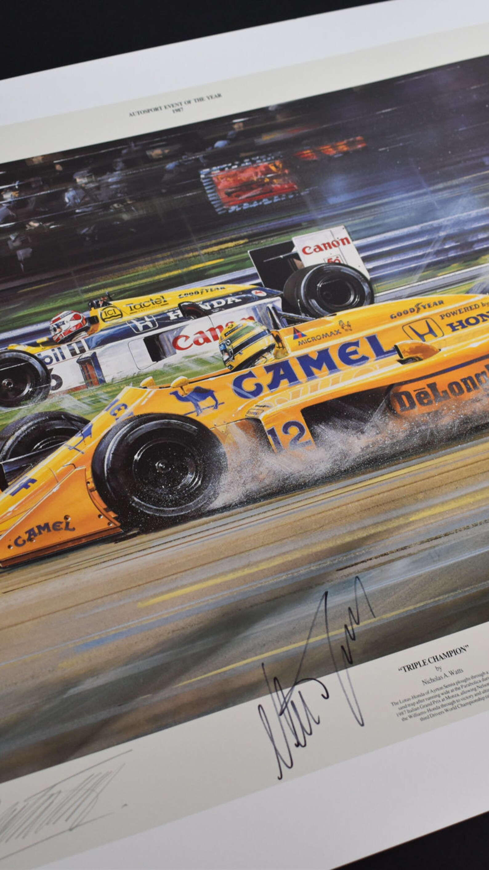 TRIPLE CHAMPION - Rare Limited Edition Print by Nicholas Watts - Signed ...