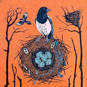 crow nest drawing