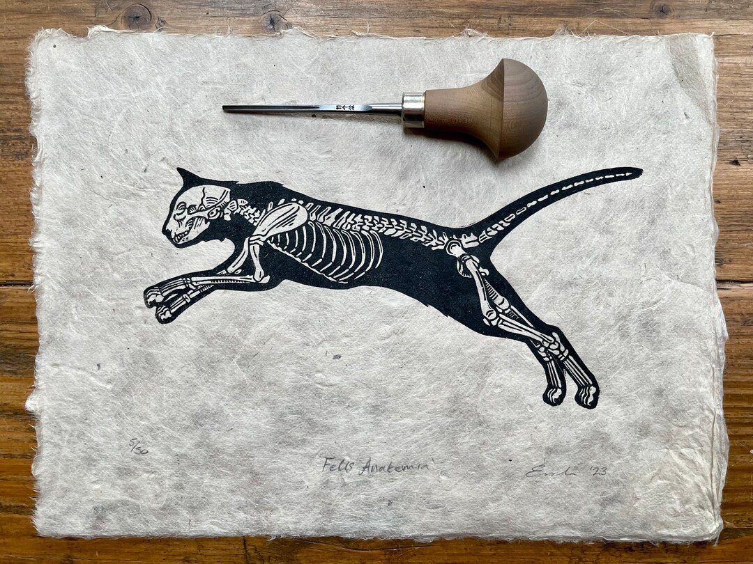 Cat Anatomy Linocut Print - Etsy