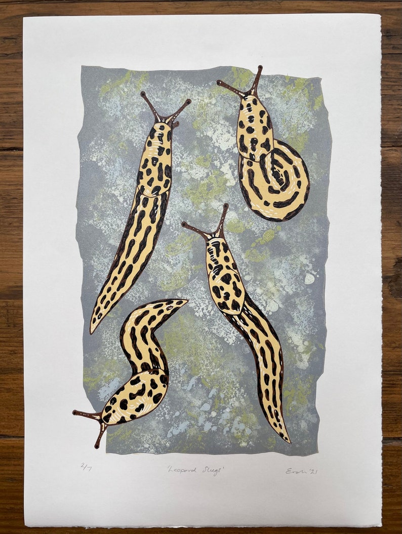 Slug Linocut Print / Leopard Slug/ Creepy Crawlies / Wildlife - Etsy