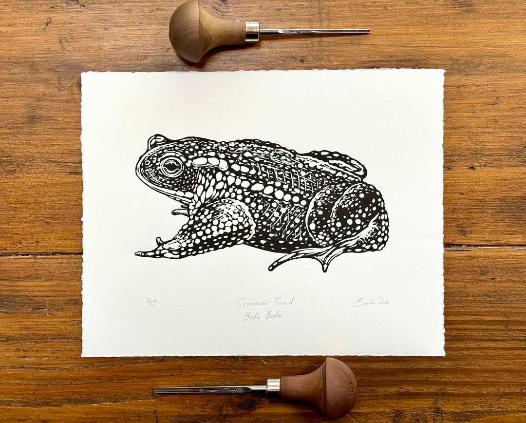 Common Toad Linocut Print - Etsy