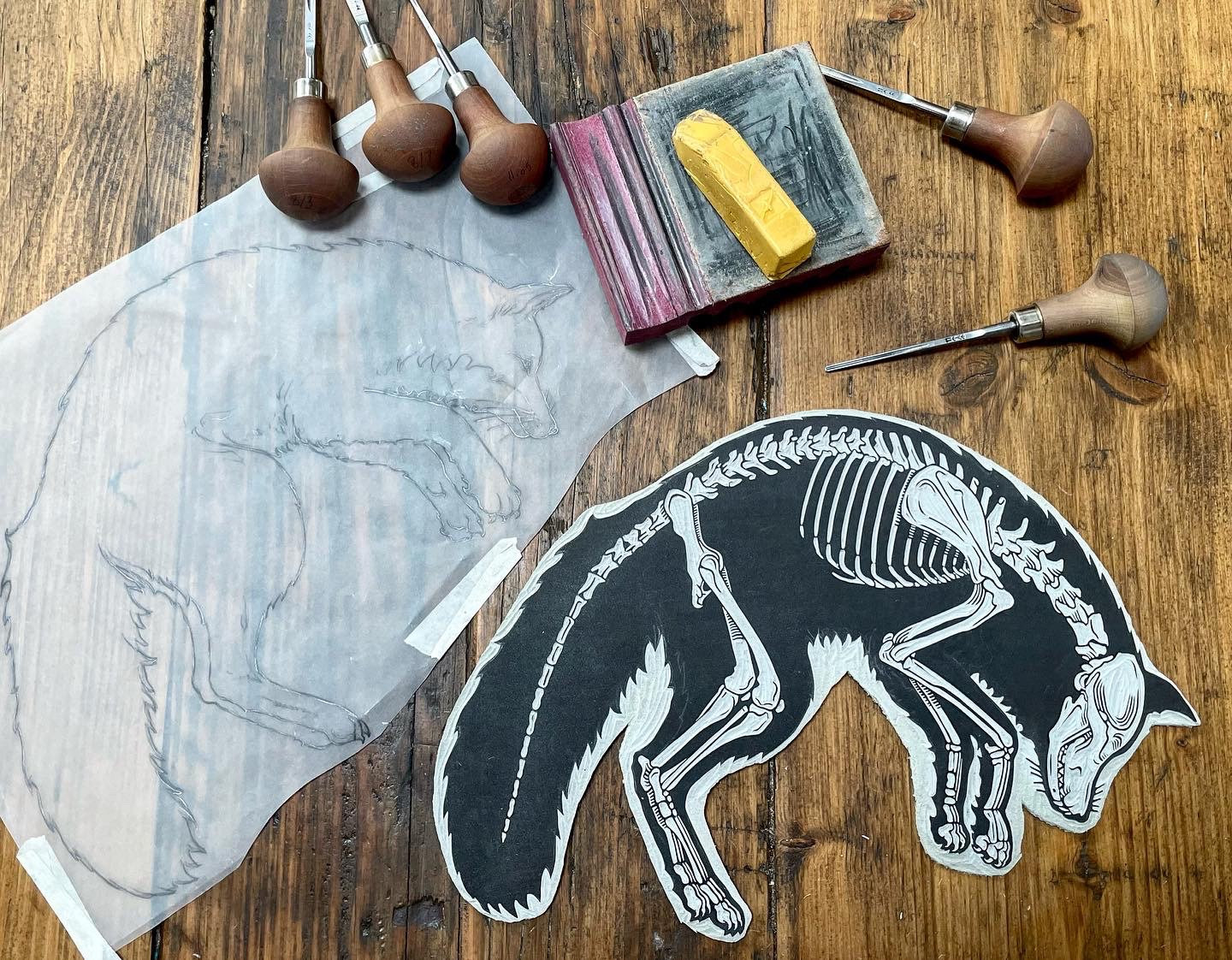 Fox Anatomy Linocut Print - Etsy