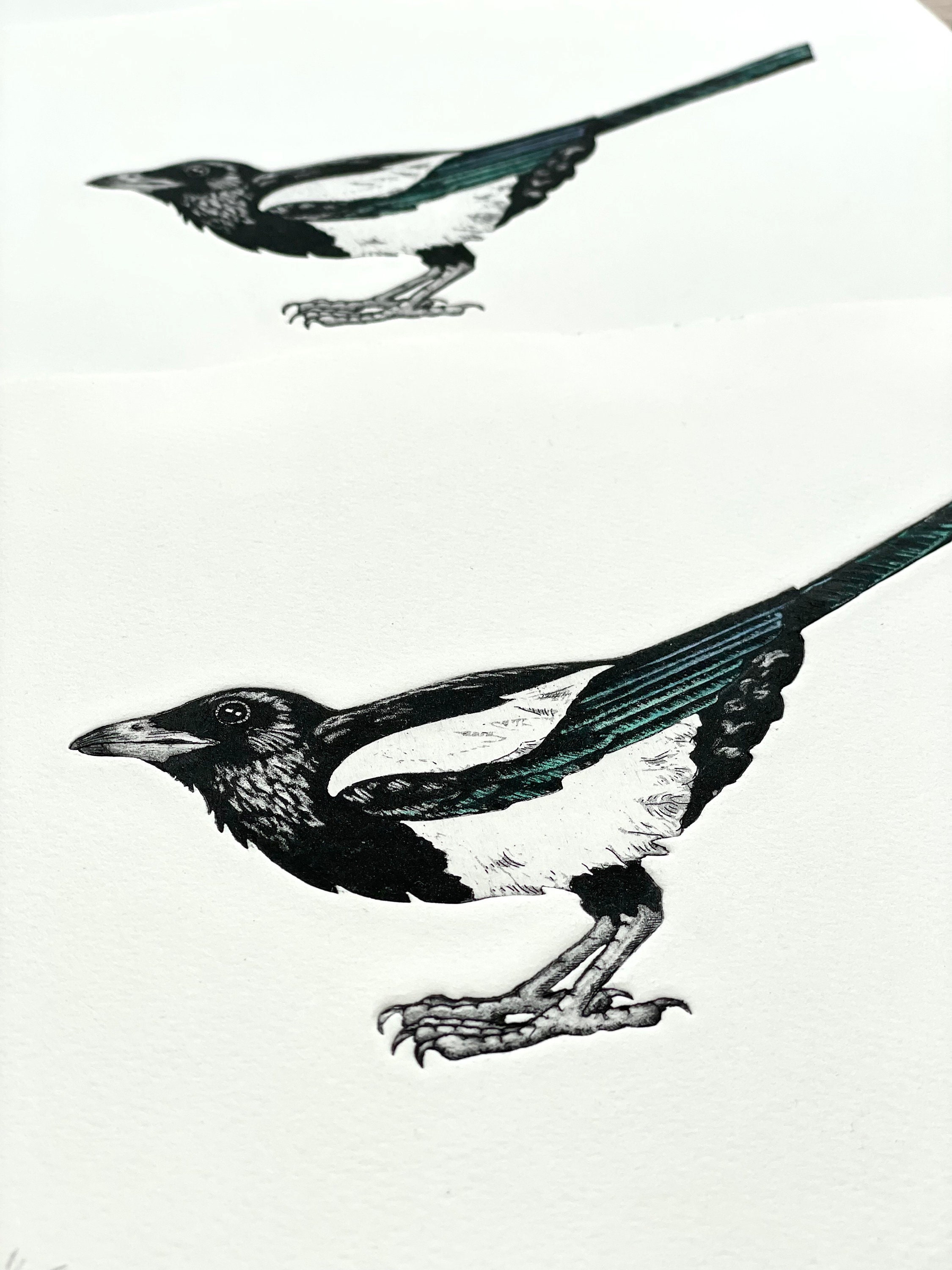 Magpie Etching - Etsy