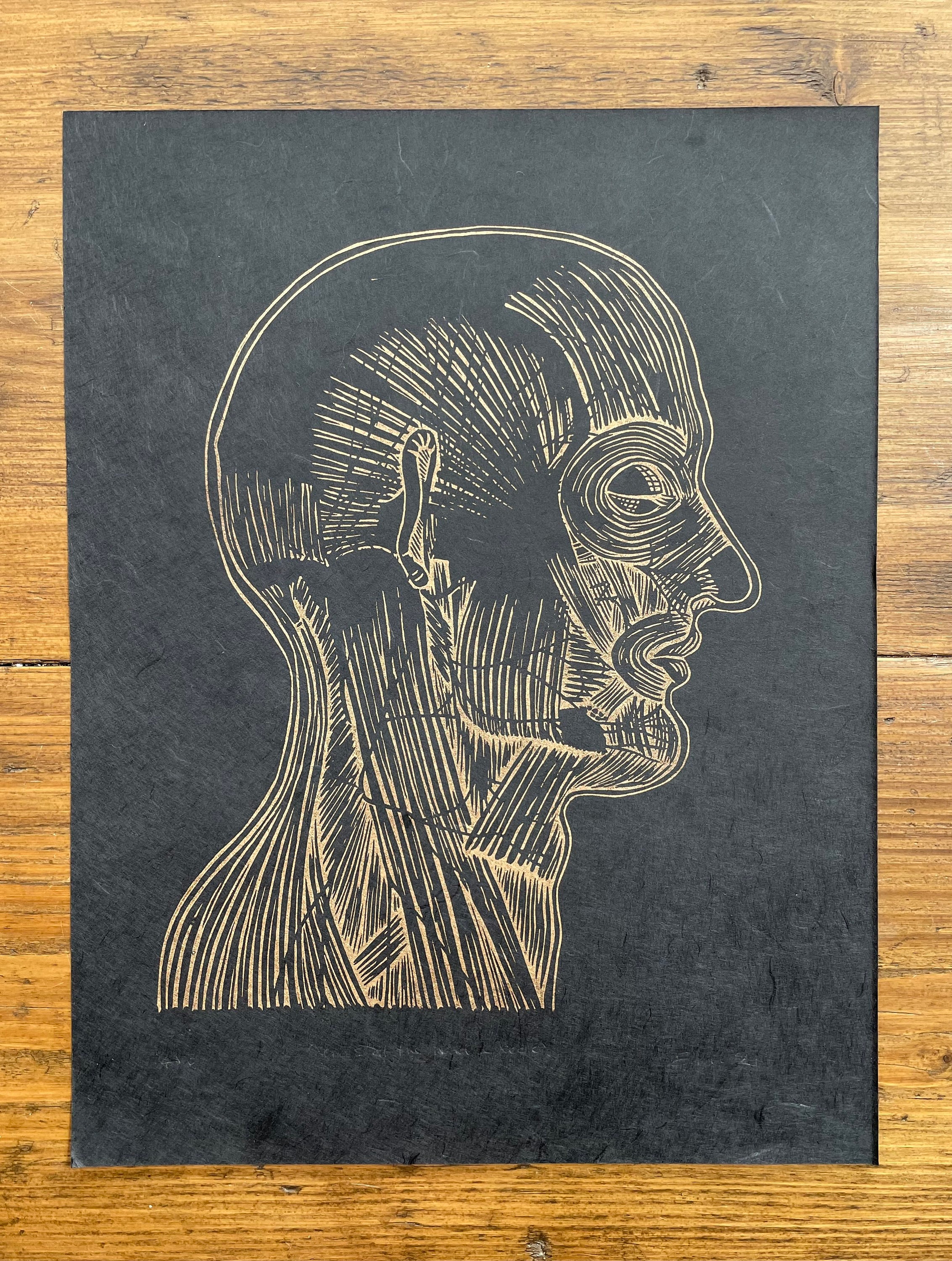 Anatomy Lino Print / Muscles and Nerves of the Head and Neck / - Etsy UK
