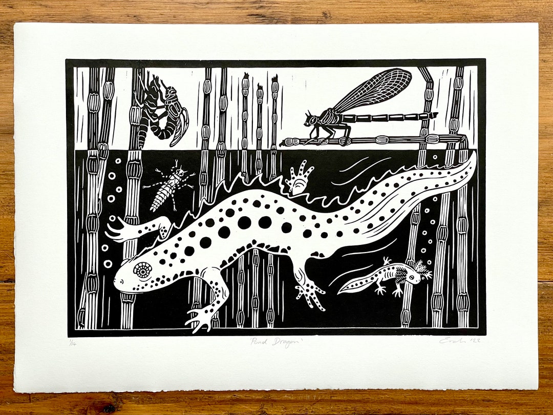 Linocut Print of Great Crested Newt - Etsy