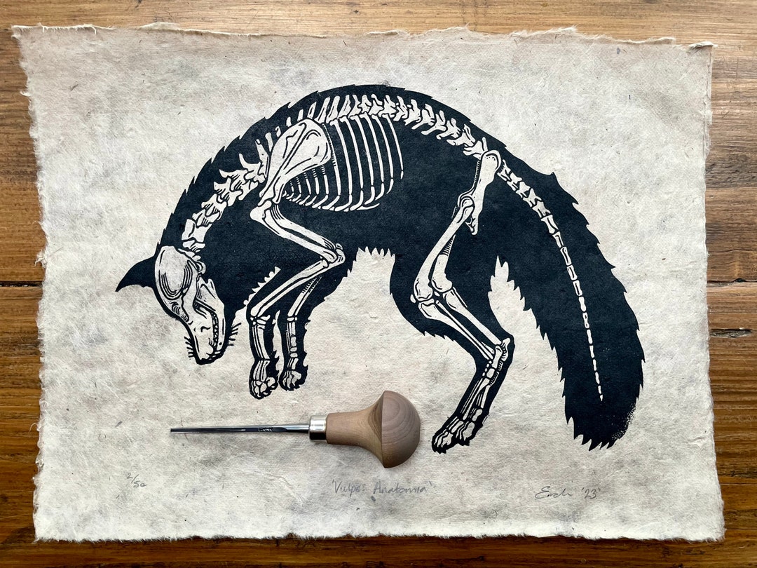 Fox Anatomy Linocut Print - Etsy