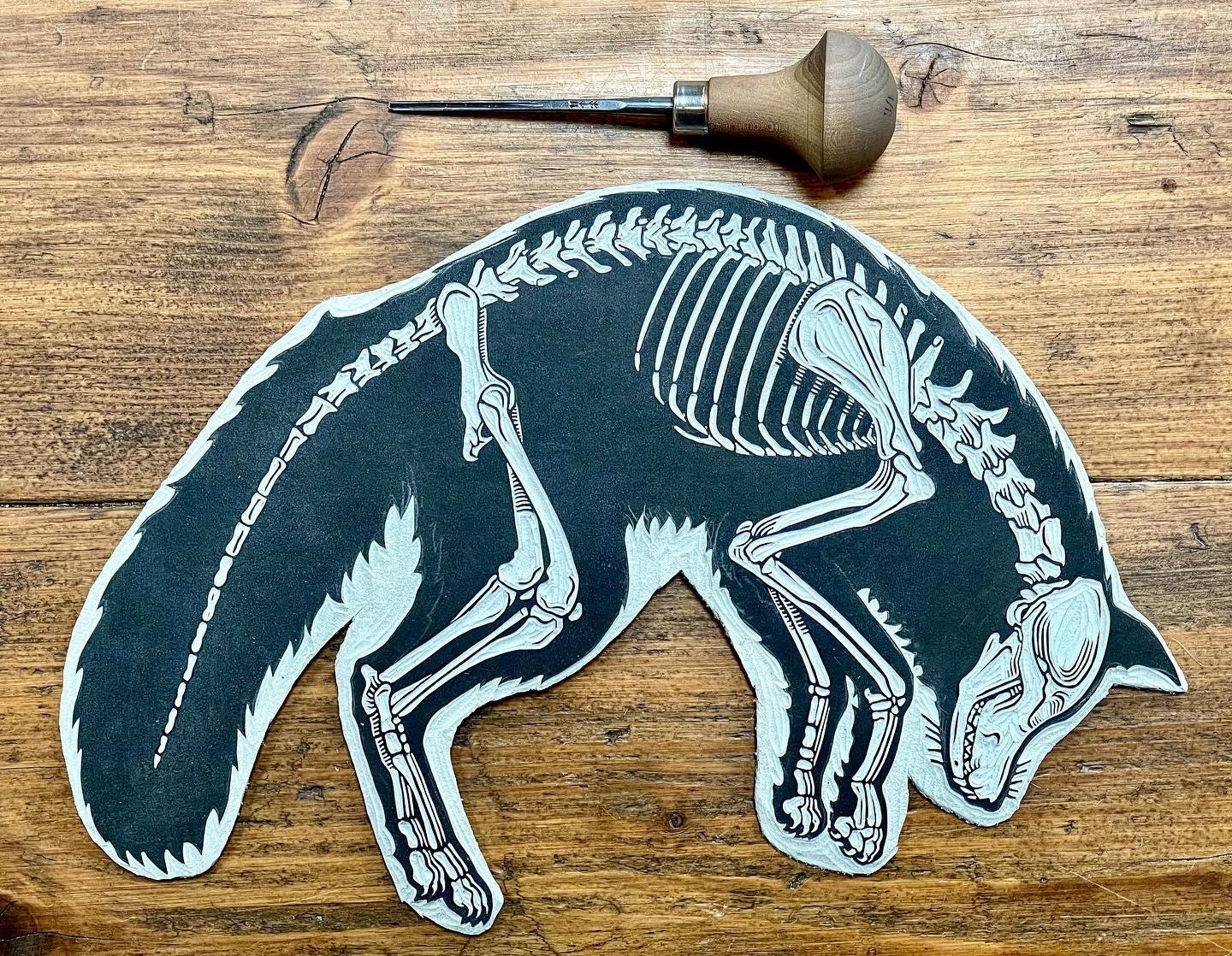 Fox Anatomy Linocut Print - Etsy
