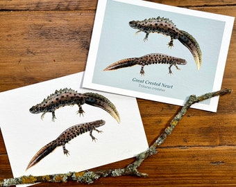 Great Crested Newt Pond Decor / Rusty Metal Newt Sculpture / Amphibian ...