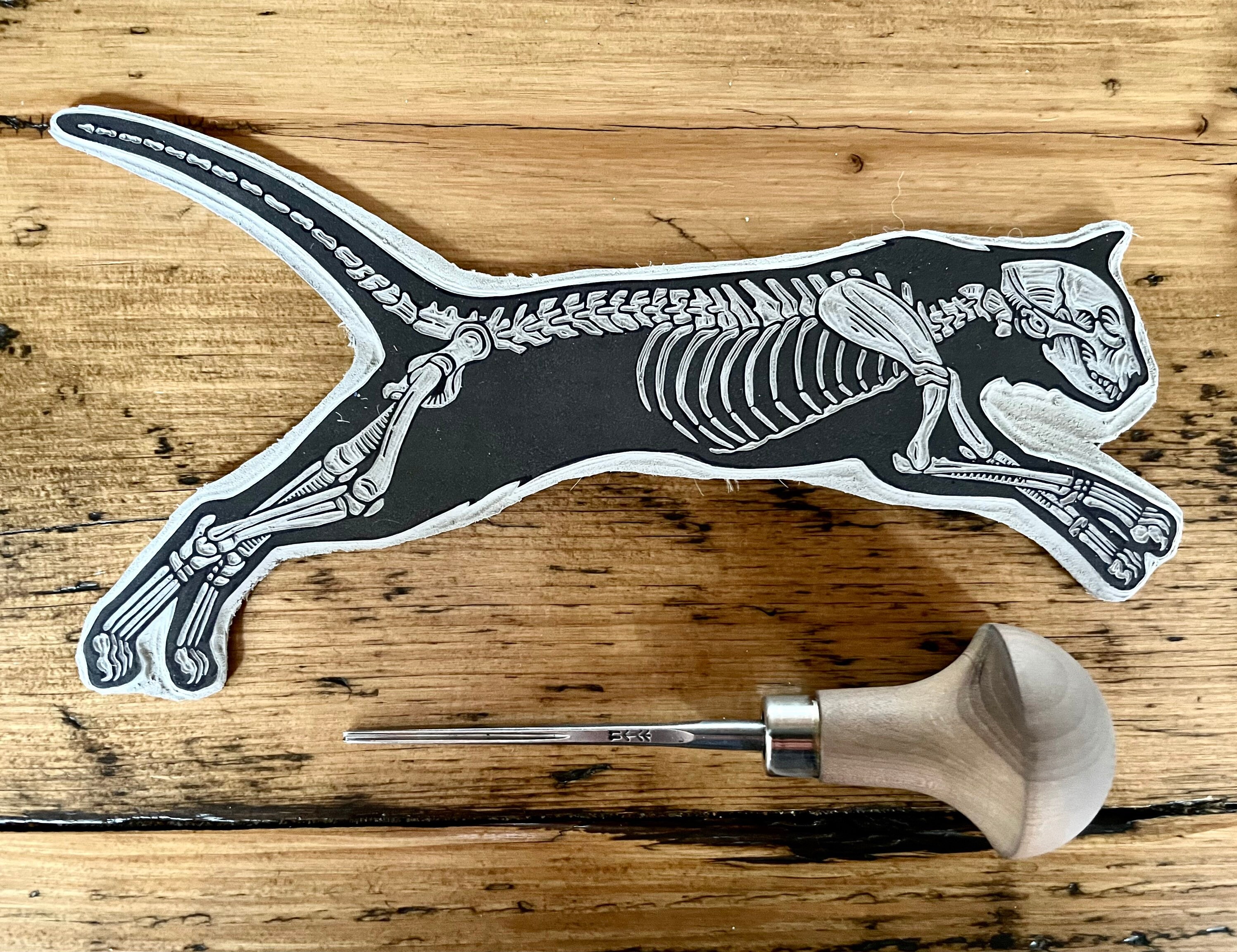 Cat Anatomy Linocut Print - Etsy