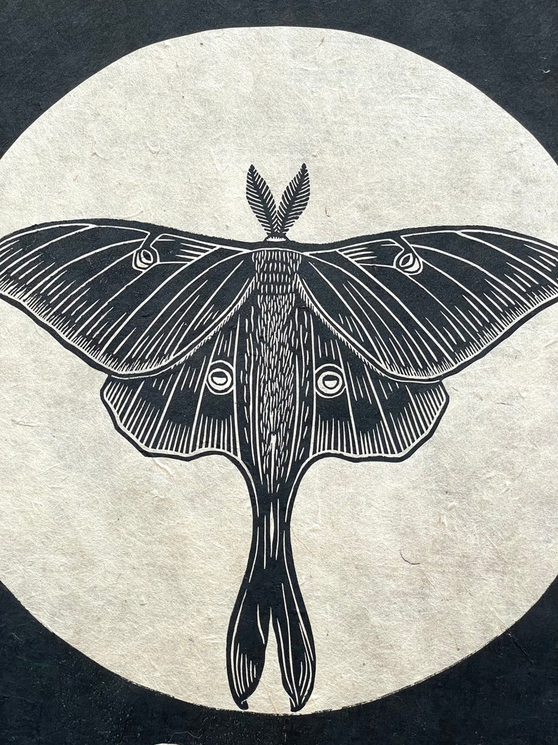 Luna Moth Linocut Print - Etsy