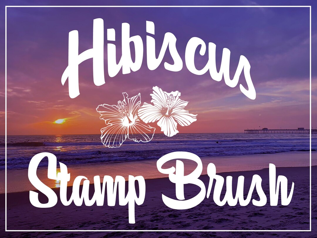 Hibiscus Stamp Brush Pack - Procreate - Etsy