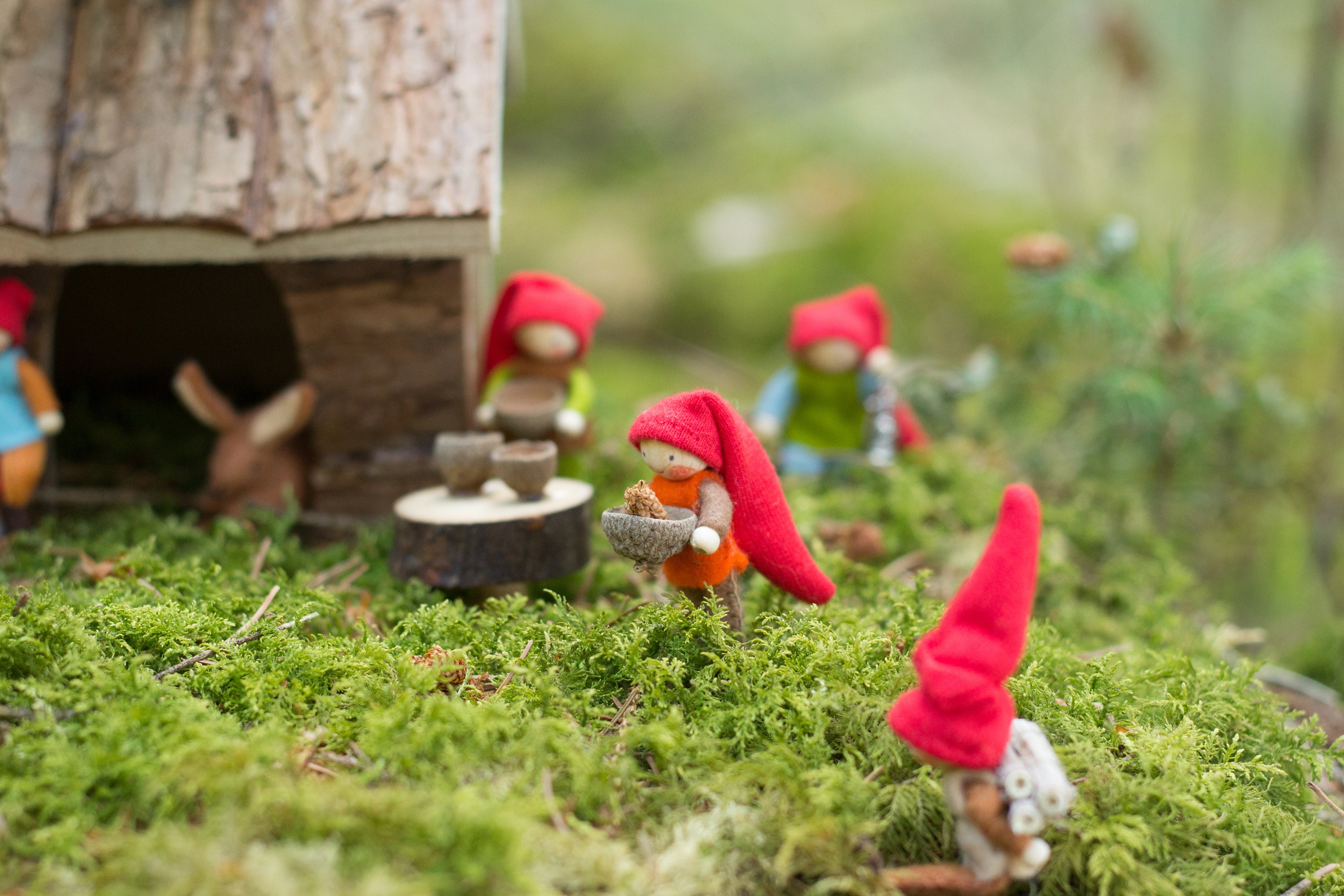 Five Mini Gnomes PDF Pattern Dutch and German - Etsy