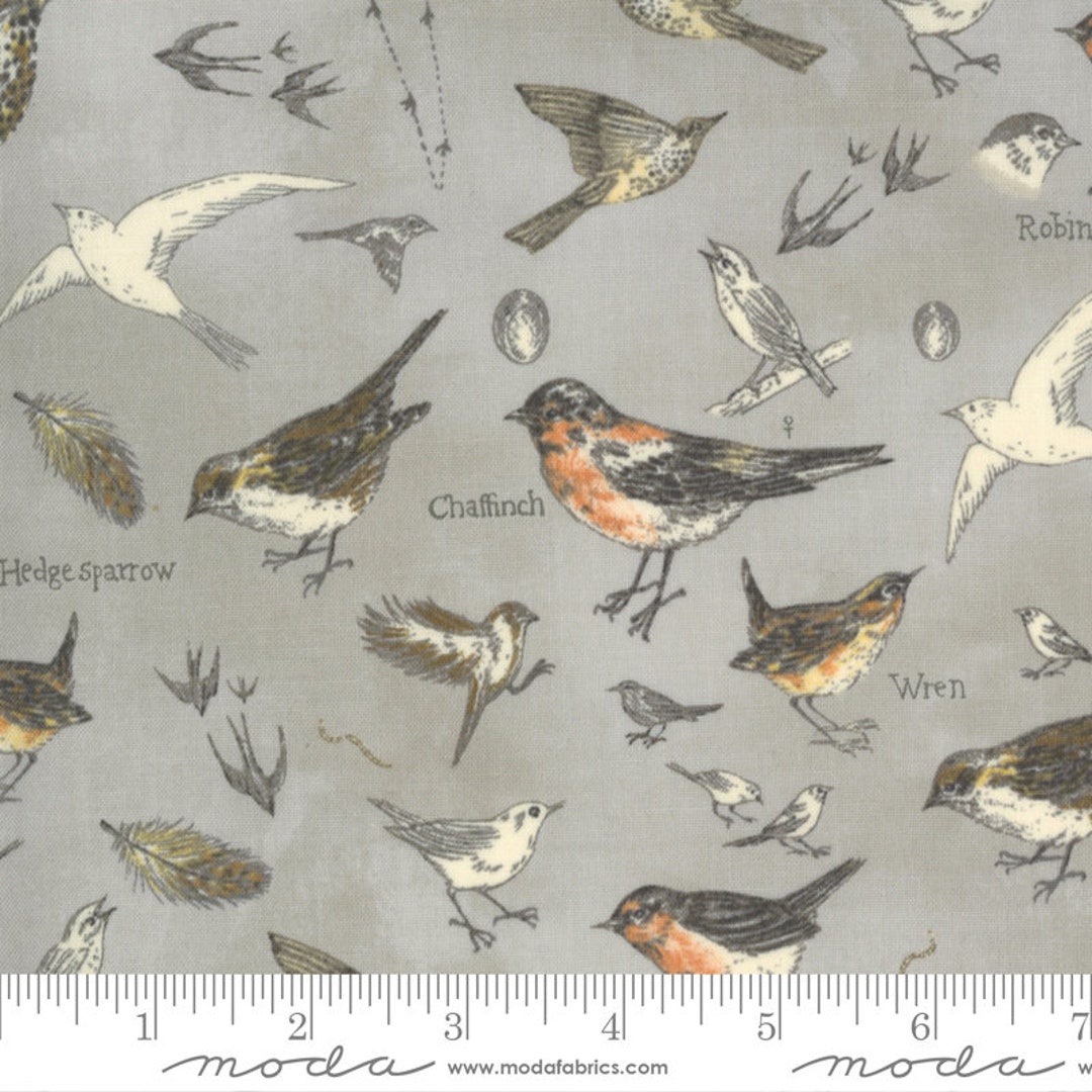 Botanicals by Janet Clare . Gray Floral Bird Fabric Priced by the HALF ...