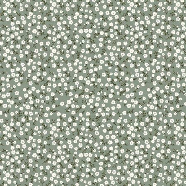 Riley Blake Gingham Fields Fabric - Etsy