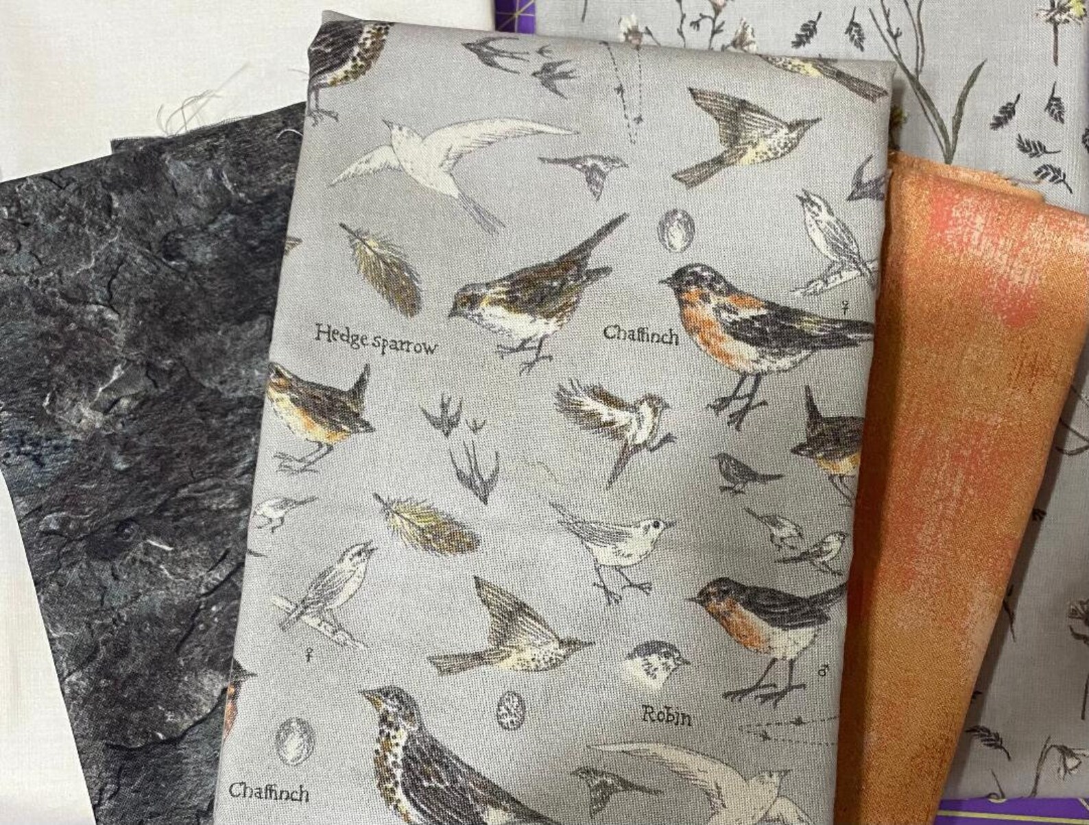 Sparrow and Friends 5 Yard Quilt Kit Includes FREE Pattern - Etsy