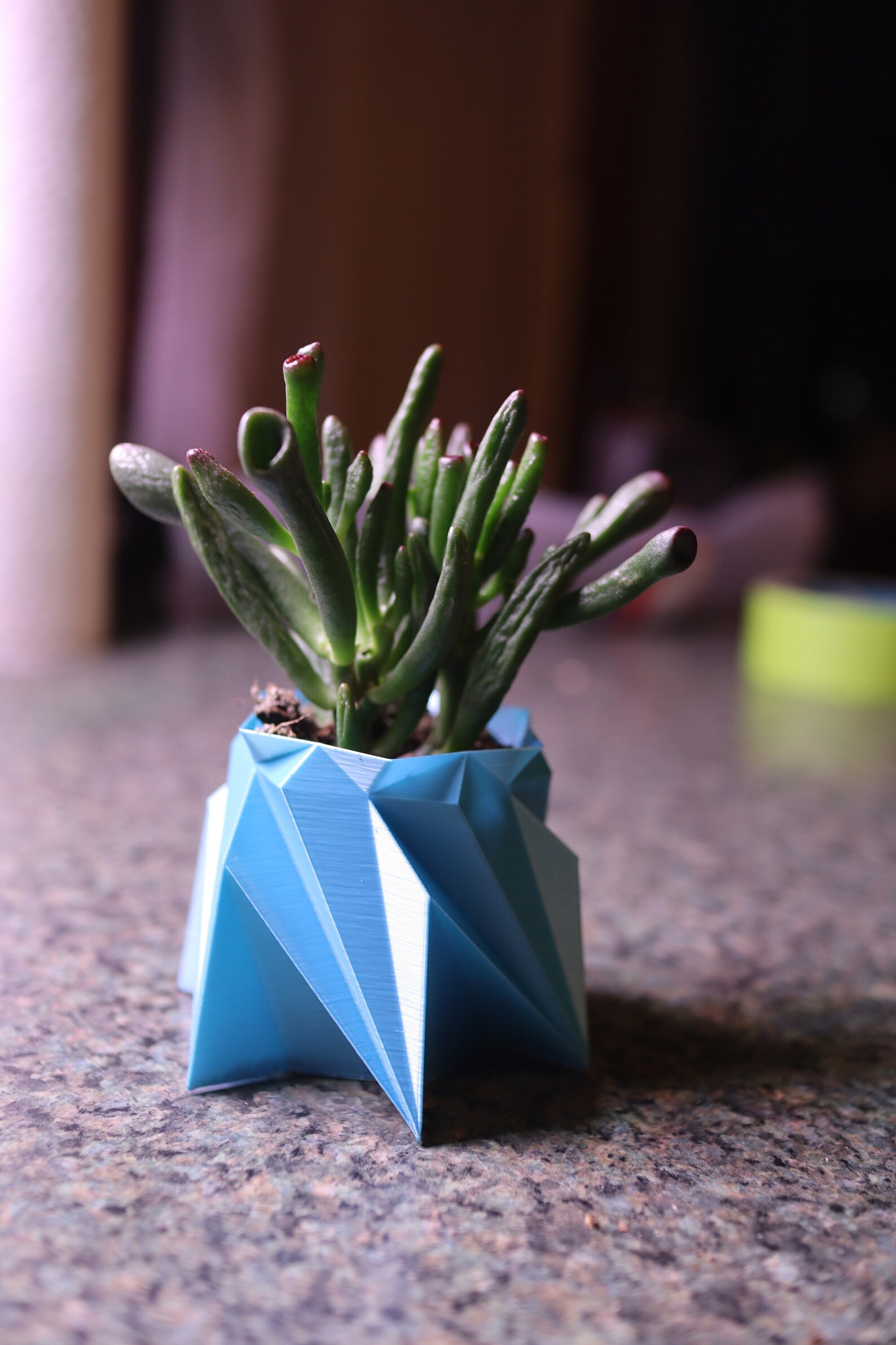 Origami Style Low Poly Succulent Vase Planter - Etsy