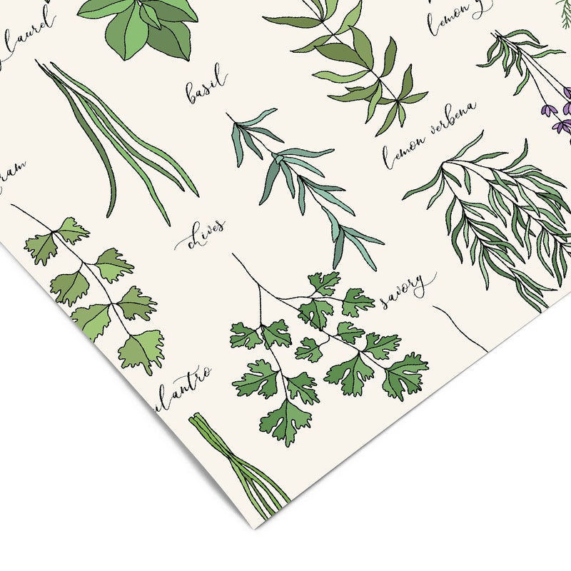 Herbs Wallpaper - Etsy