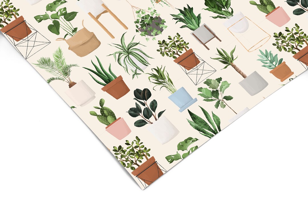 Potted Plants Cream Contact Paper | Peel and Stick Wallpaper ...