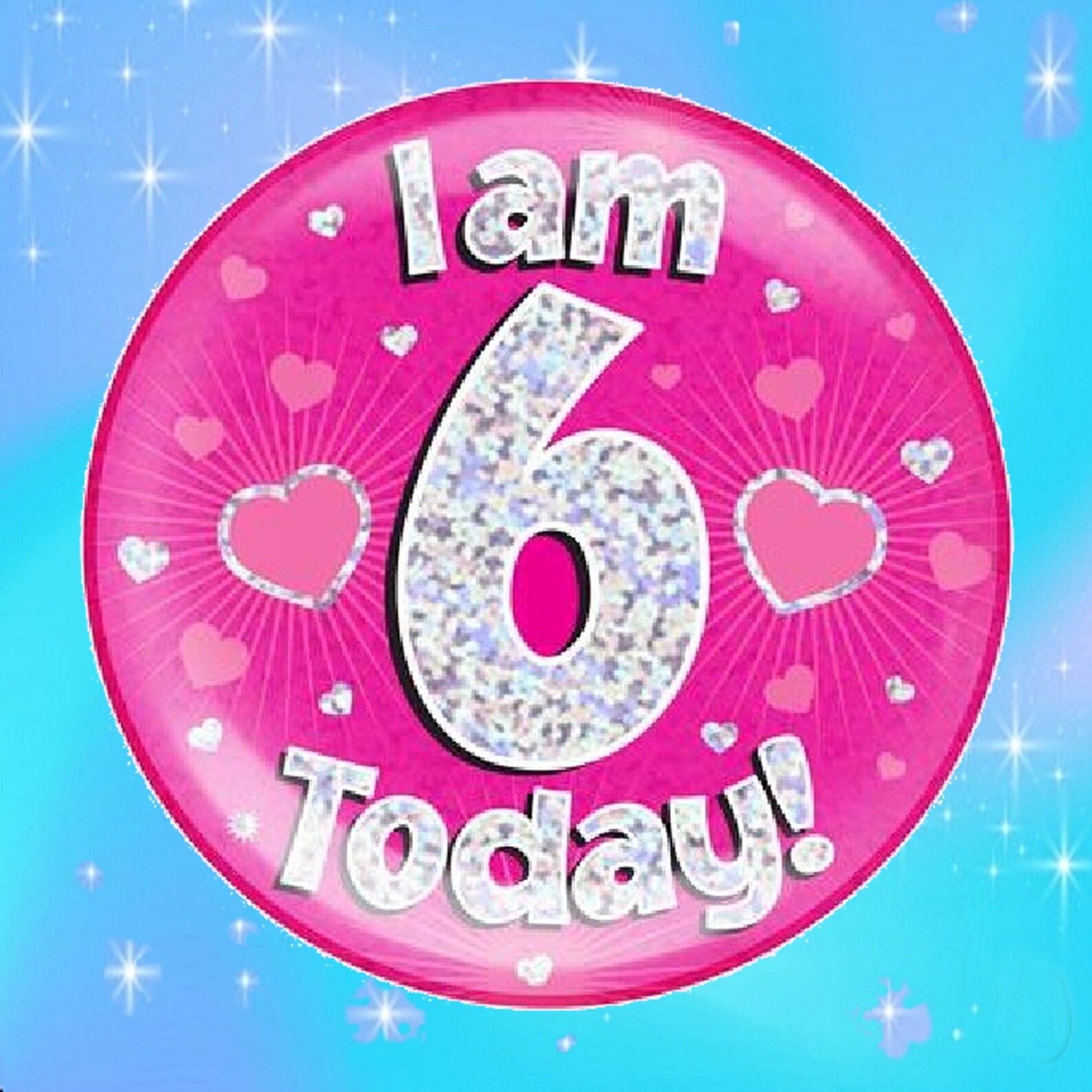 Age 6 6th Birthday Party decorations Pink Bunting & Banners | Etsy