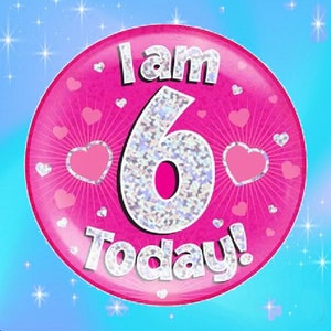 Age 6 - 6th Birthday Party Decorations Pink Bunting & Banners Balloons ...