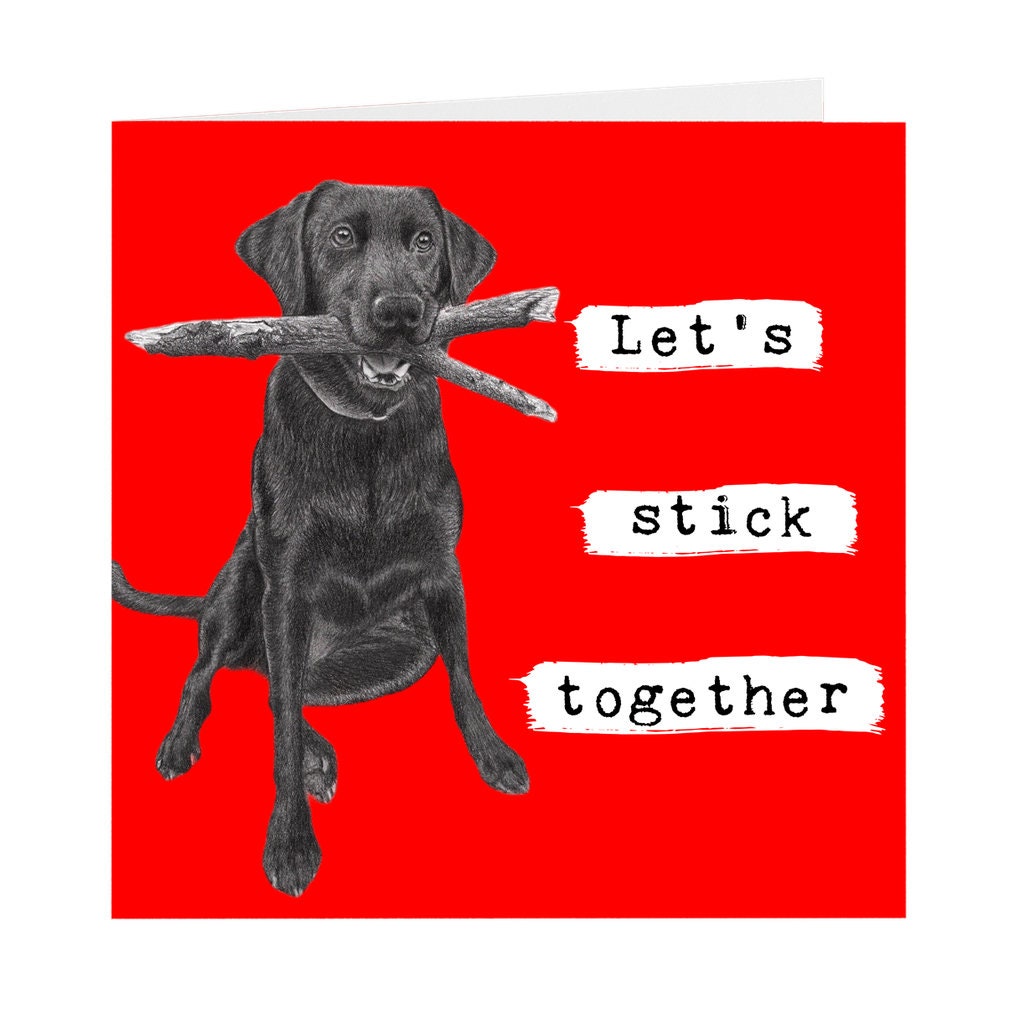 Labrador Note Cards, Black Labrador Cards, Black Lab Valentine Card ...