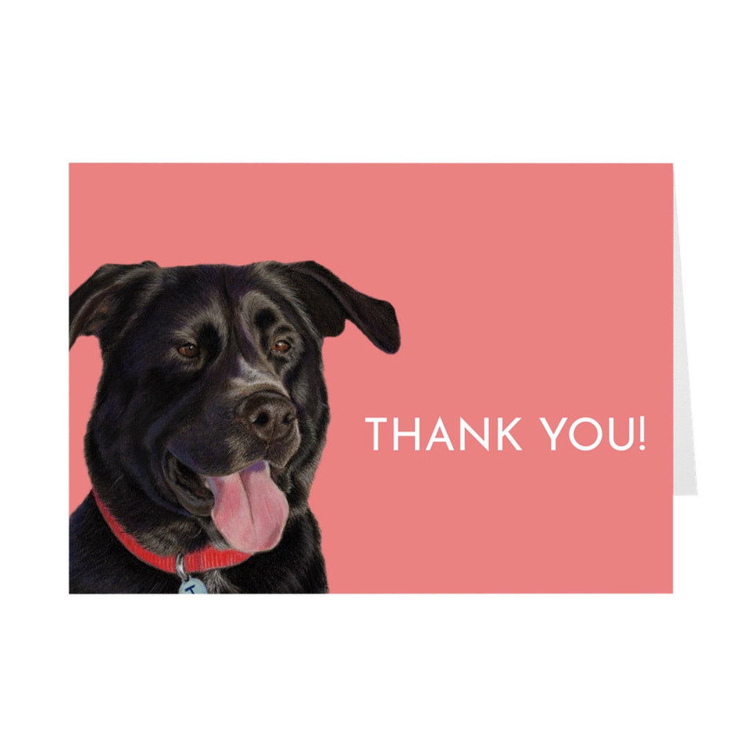Black Labrador Thank You Cards, Labrador Cards, Labrador Notecards ...