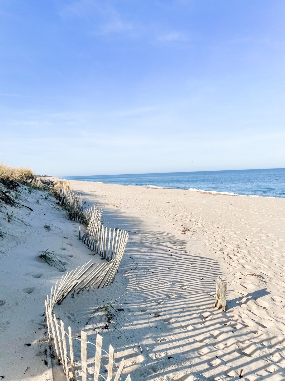 Windswept (print or Framed) - Etsy