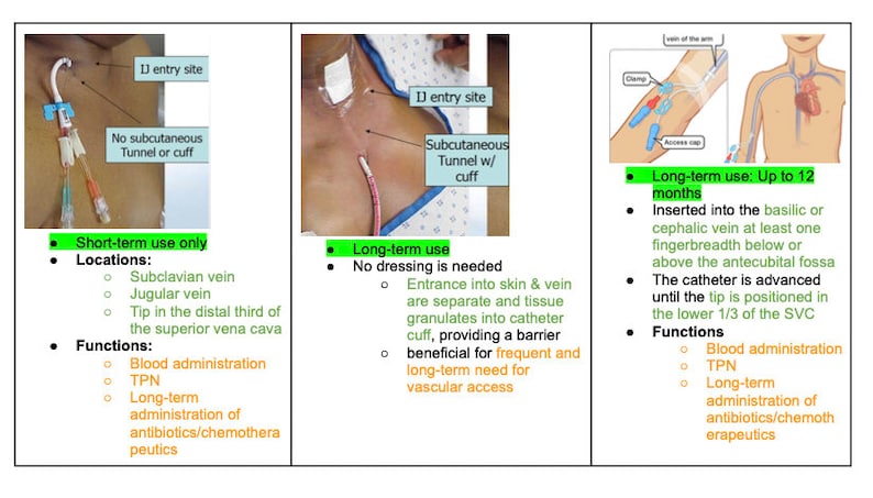 NURS 480 Advanced Medical Surgical Week 2 ONLY Study Guide - Etsy