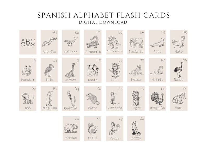 Spanish Alphabet Flash Cards, Letter Learning, Homeschool Learning ...