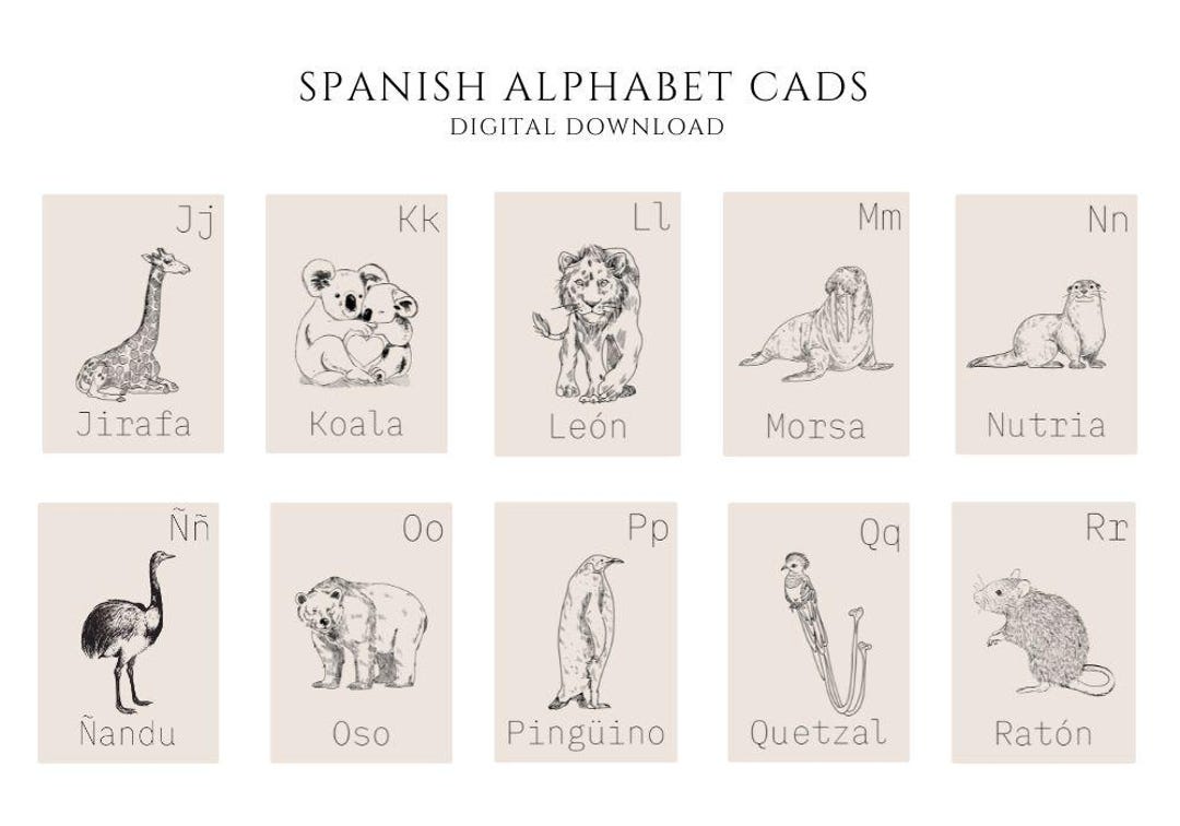 Spanish Alphabet Flash Cards, Letter Learning, Homeschool Learning ...