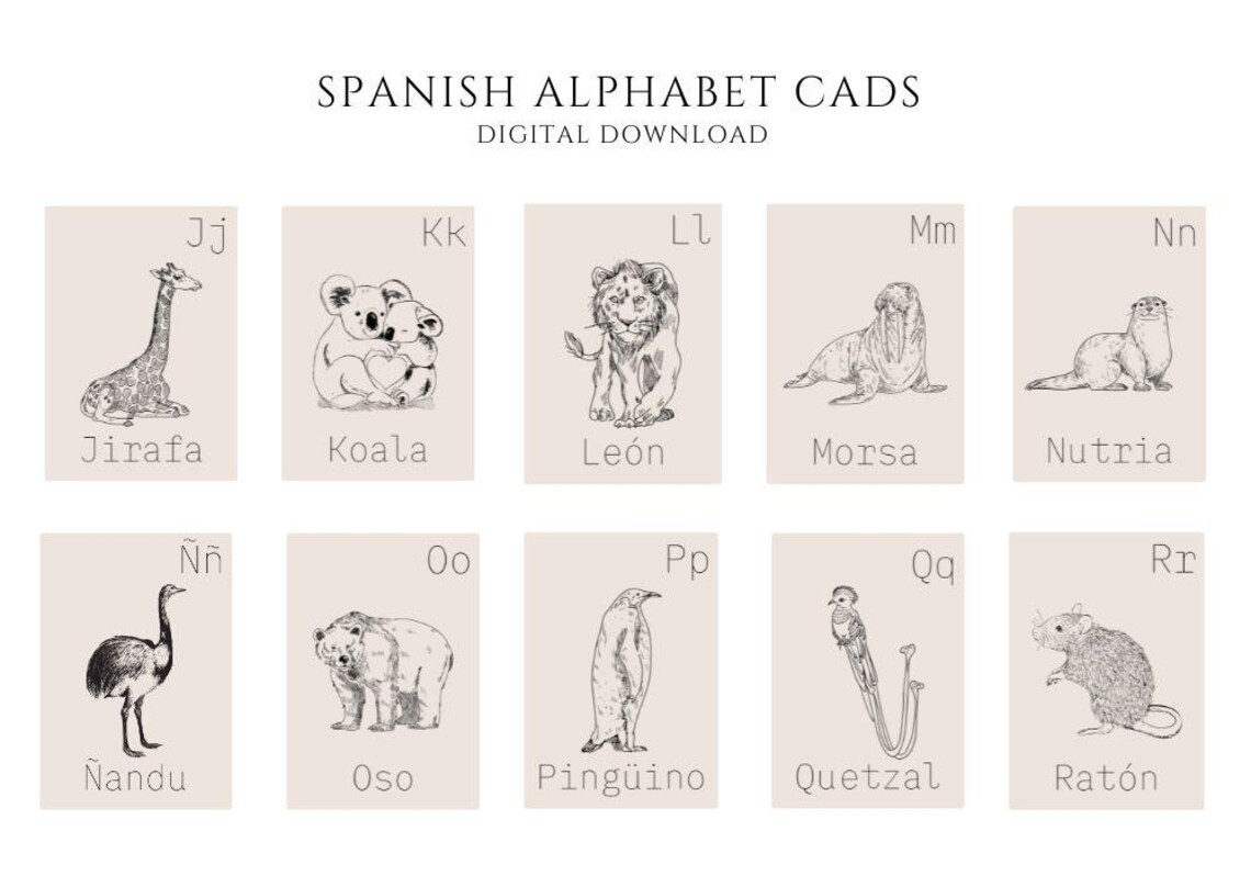 Spanish Alphabet Flash Cards, Letter Learning, Homeschool Learning ...