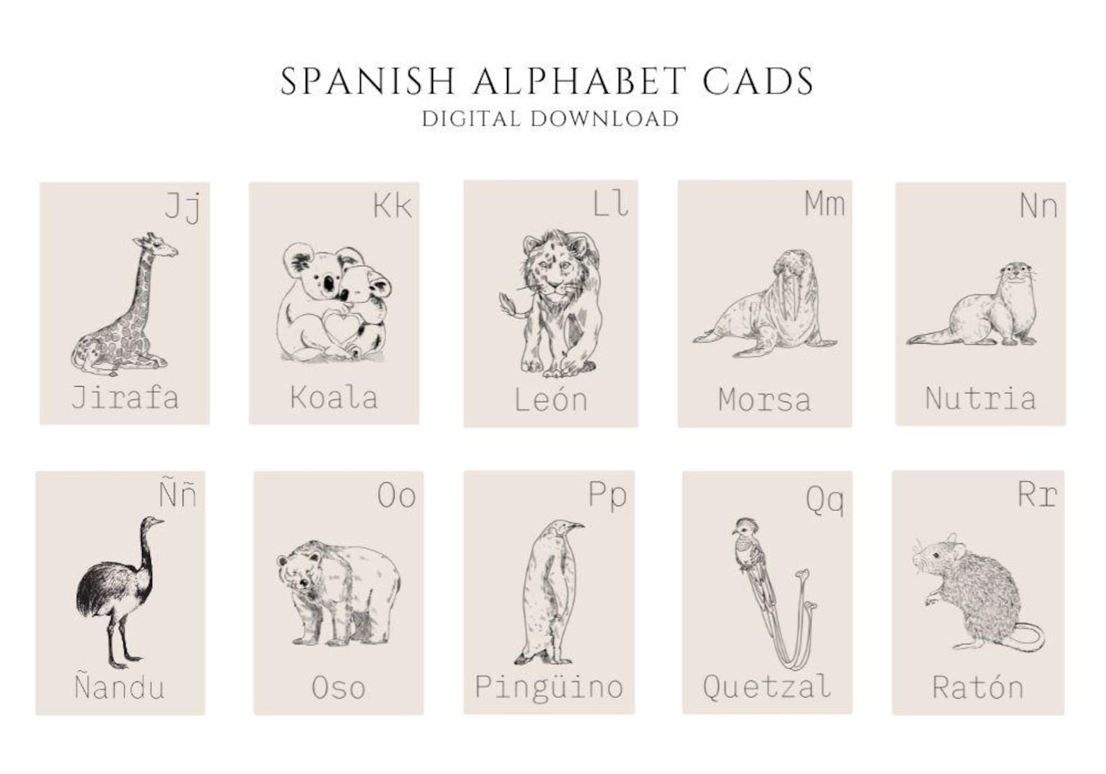 Spanish Alphabet Flash Cards, Letter Learning, Homeschool Learning ...