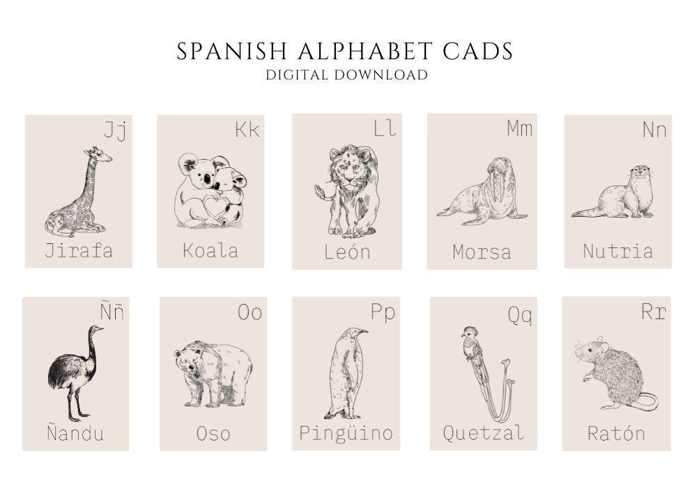 Spanish Alphabet Flash Cards, Letter Learning, Homeschool Learning ...
